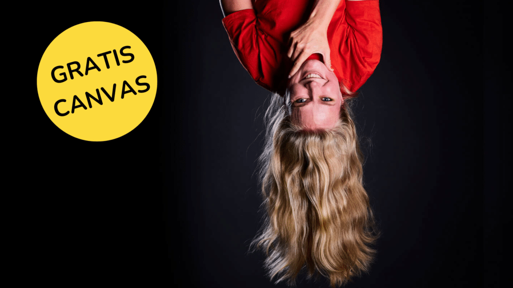 Free 5 Strategic Steps Canvas from Scrum Academy